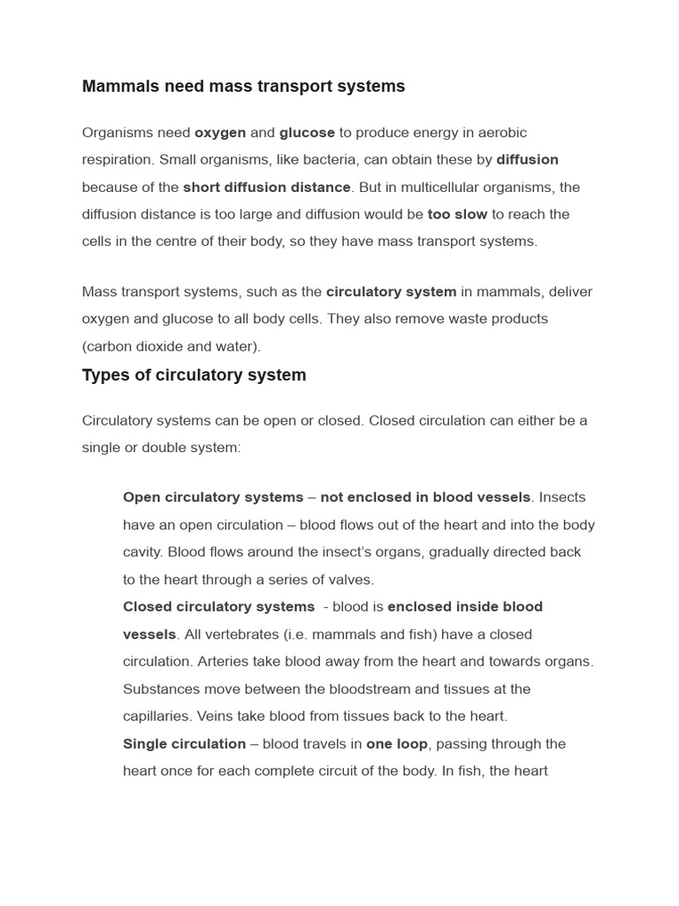 Circulatory System Pdf Artery Heart