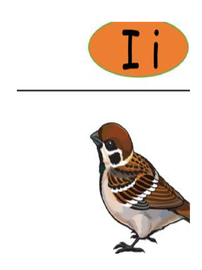 December 13 2024 Tarpapel | PDF