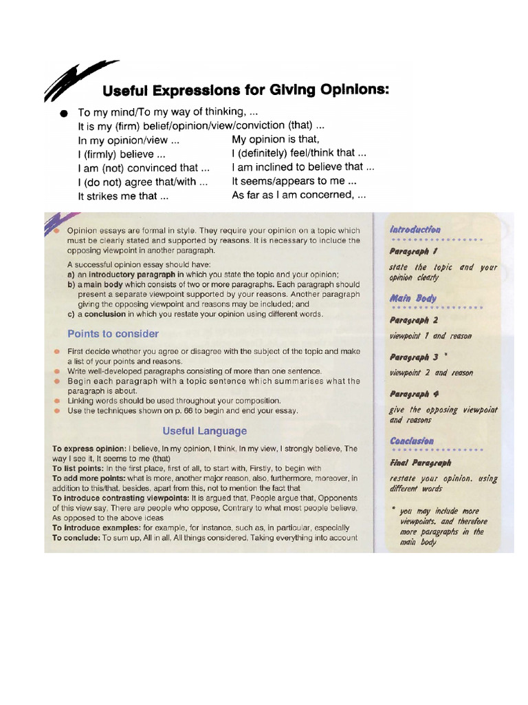 Expressing Your Opinion | PDF