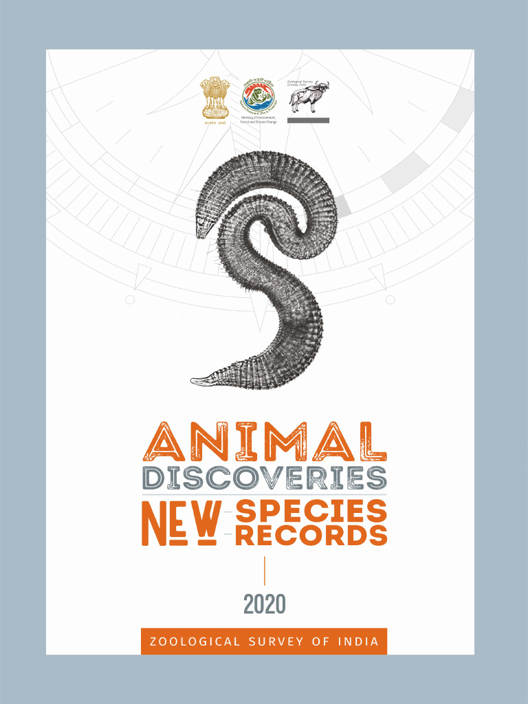 Animal Discovery 2020 | PDF | Biodiversity | Conservation Biology