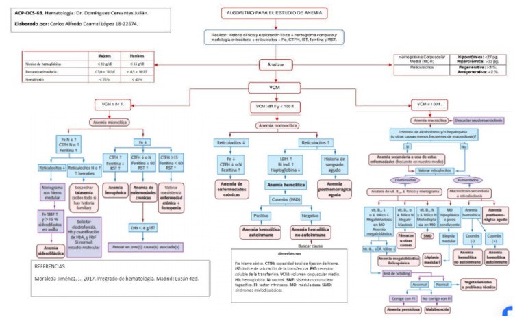 Algoritmo de Las Anemias | PDF