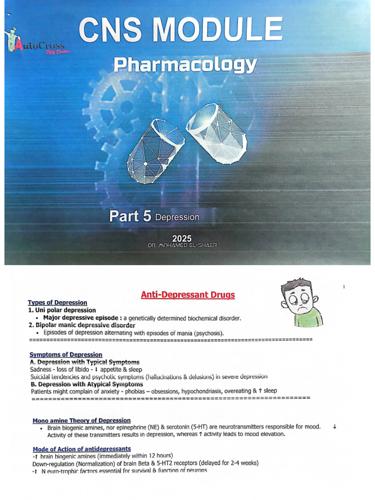Part 5 - CNS Pharma - DR El Shaer | PDF