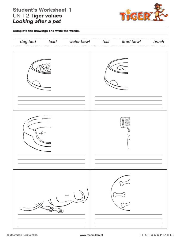 Tiger Values 2 -SW_Unit2 | PDF