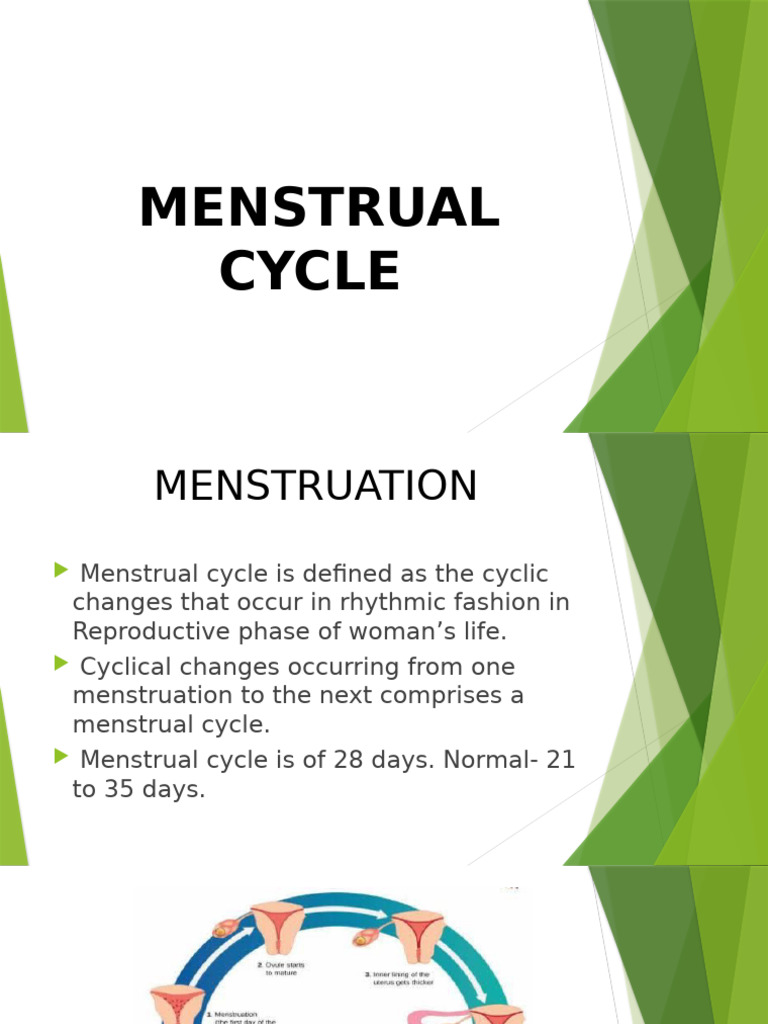 Menstrual Cycle | PDF | Menstrual Cycle | Puberty