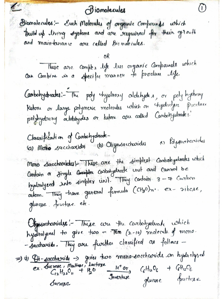 Biomolecules 1 | PDF