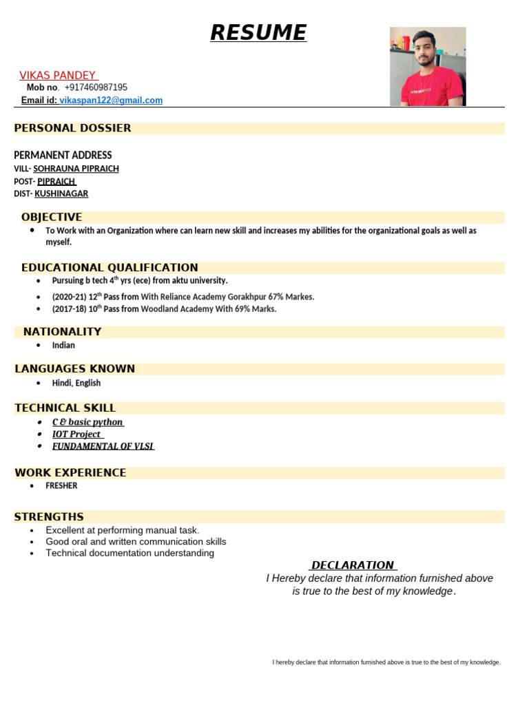 Vikas Pandey 4 | PDF