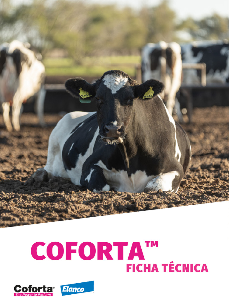 Ficha Tecnica Coforta CH | PDF | Vitamina B12
