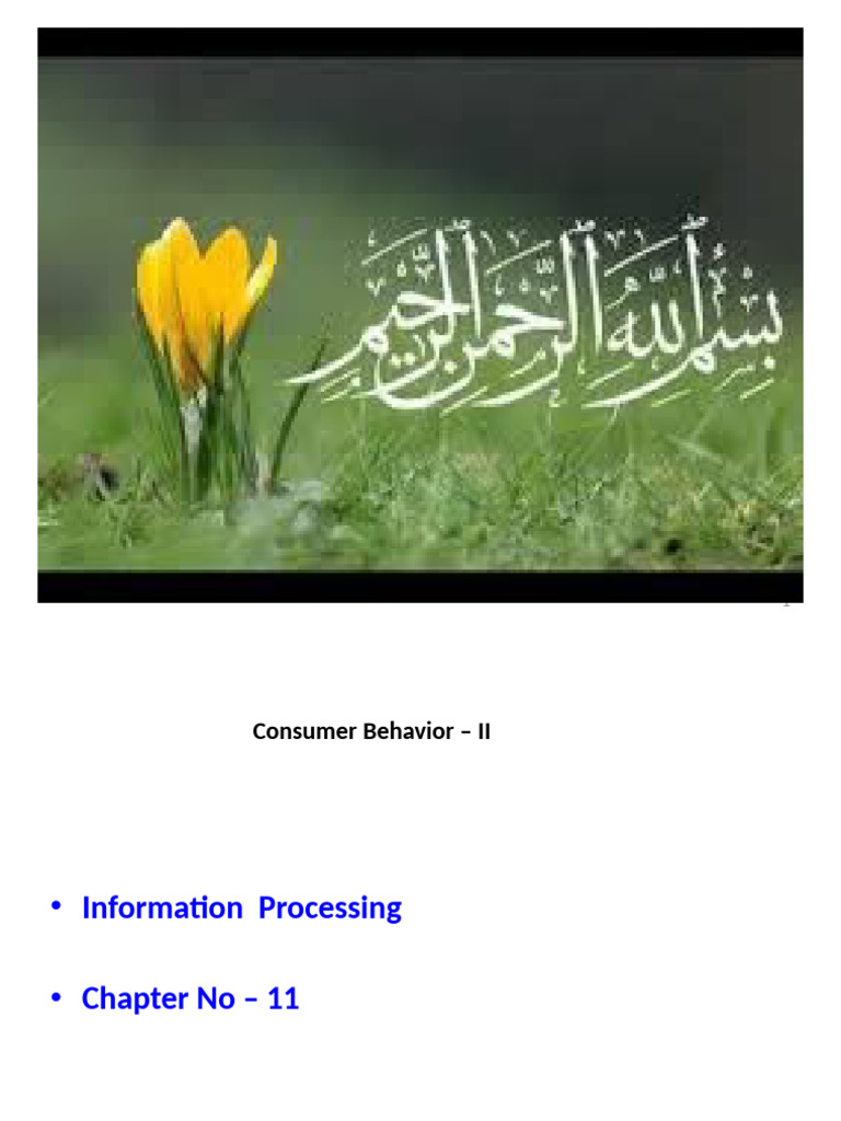 CB - II - Ch . No. 11 | PDF | Perception | Attention