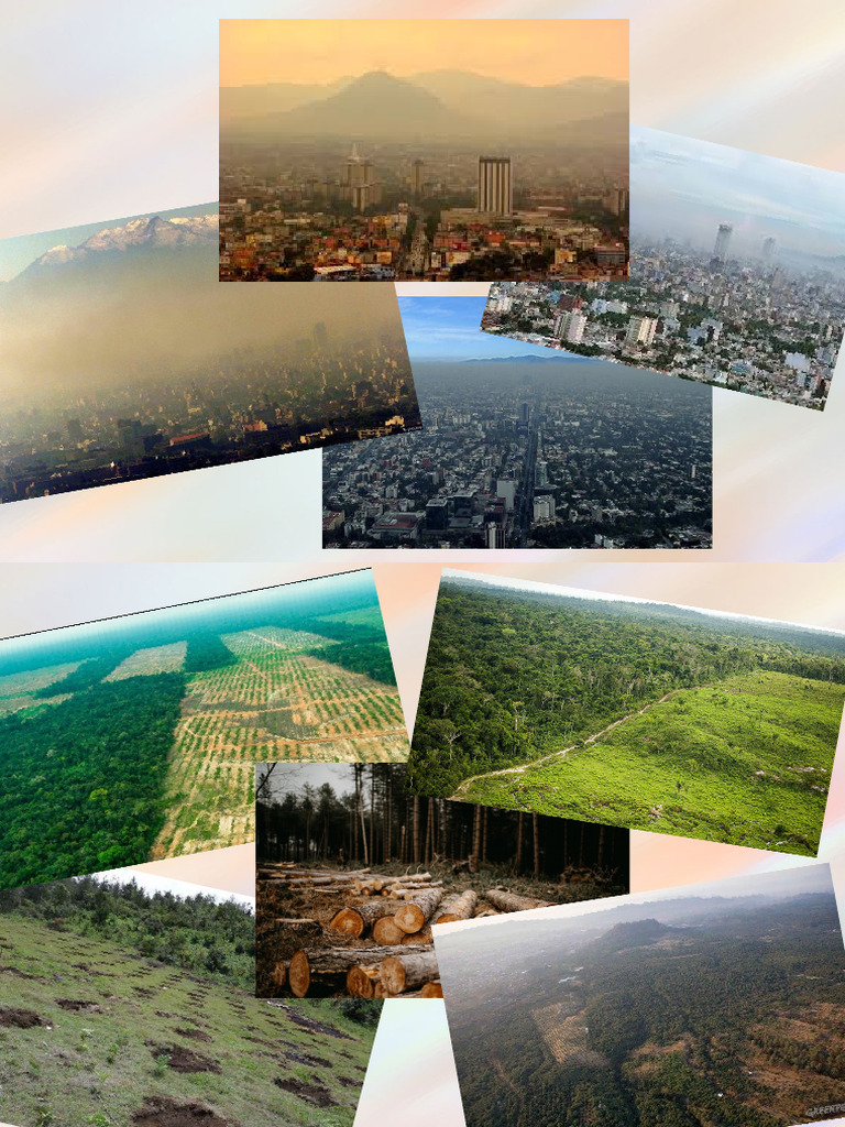 30. RESOURCE 30 Two major environmental problems in Mexico | PDF