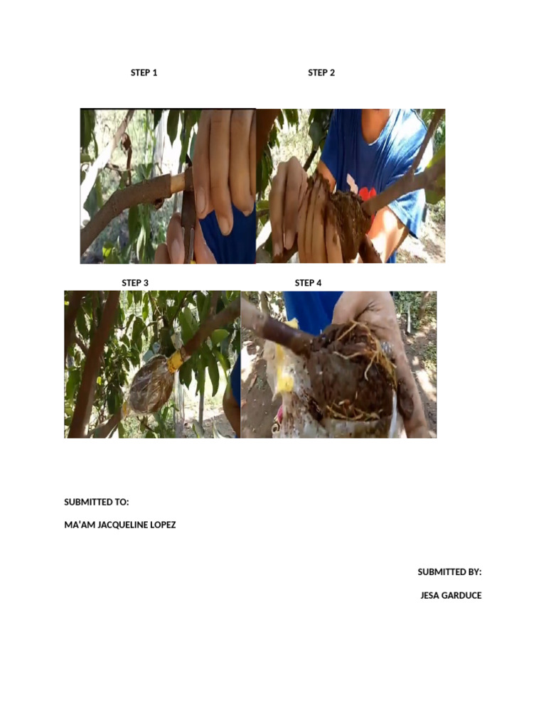 Jesa Marcotting | PDF