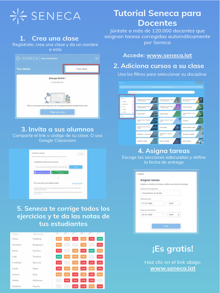Tutorial Seneca para Docentes | PDF