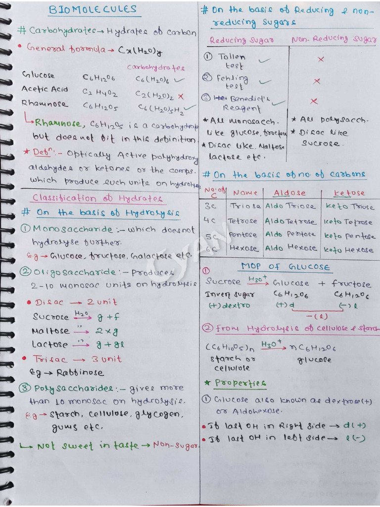 Carbohydrates and Amino Acids Guide | PDF | Carbon Compounds | Organic ...