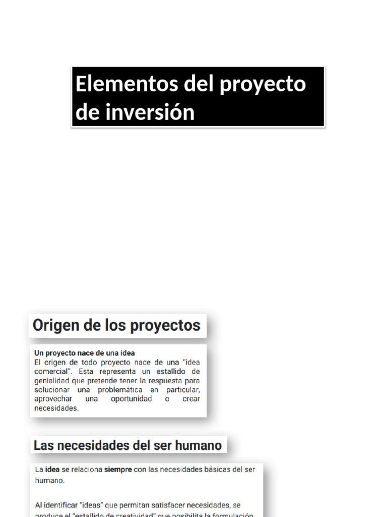 Elementos Del Proyecto de Inversion | PDF