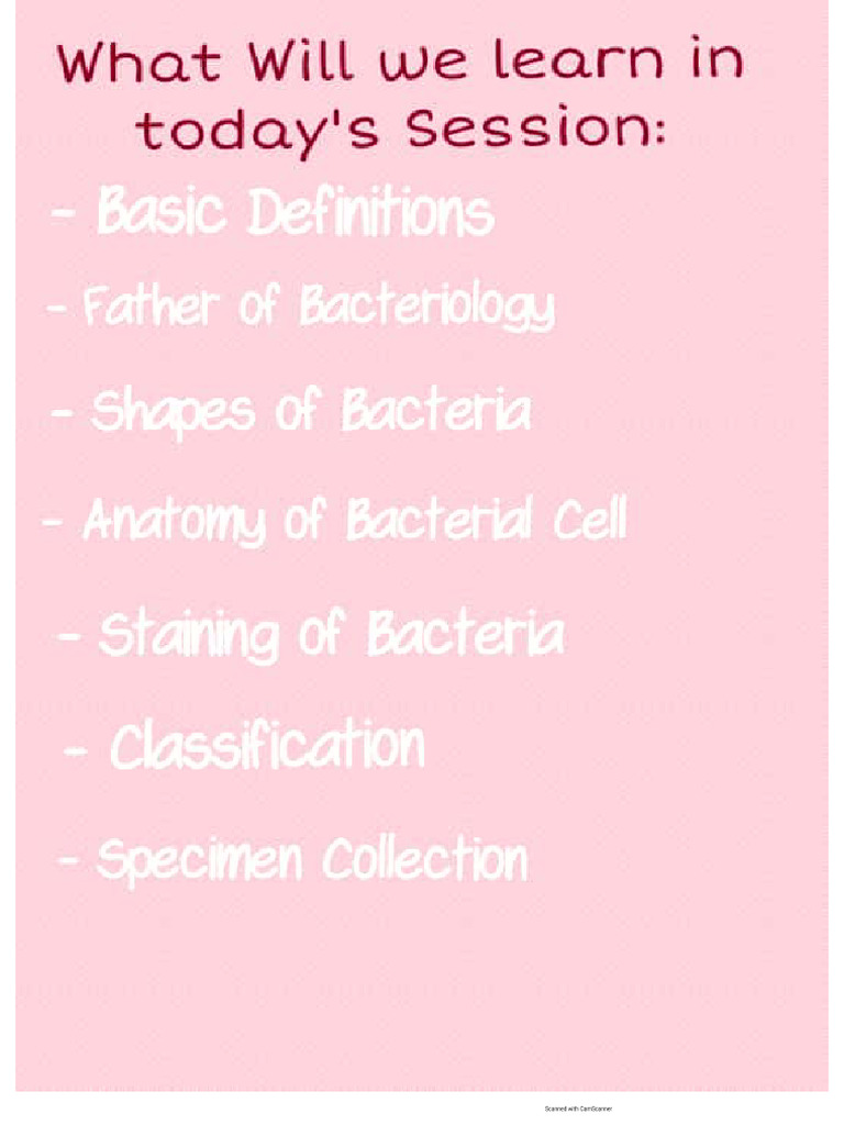 BACTERIOLOGY BASICS | PDF BACTERIOLOGY BASICS | PDF