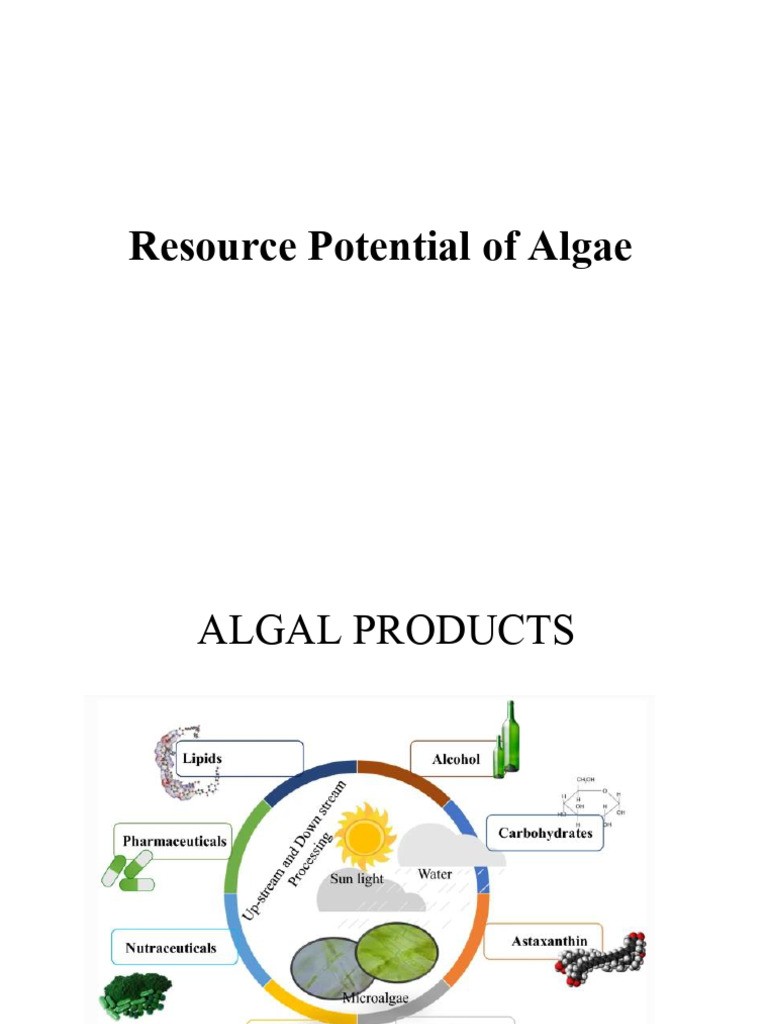 Resource Potential of Algae | PDF | Algae
