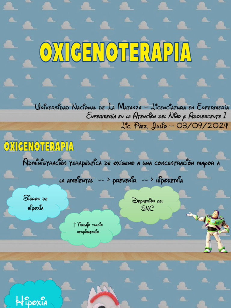 DISPOSITIVOS-DE-OXIGENOTERAPIA-2024 | PDF