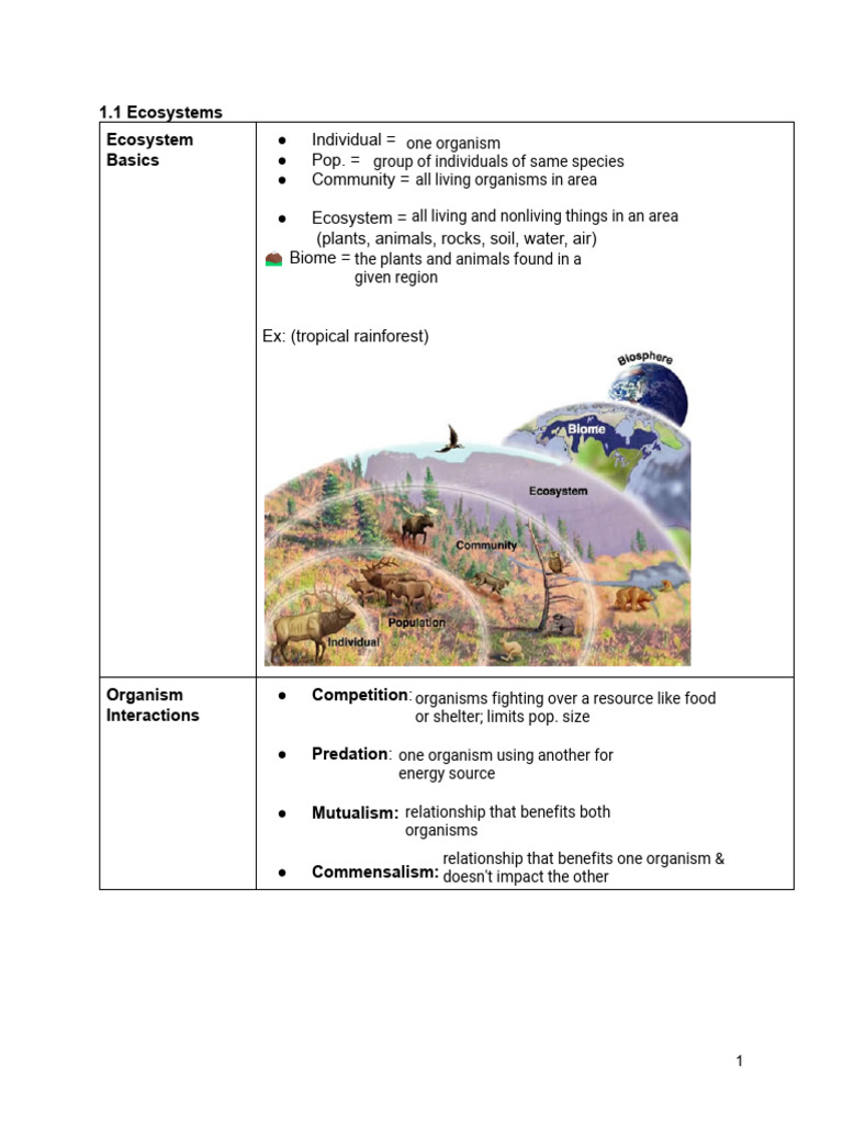 Ecosystems | PDF | Ecosystem | Symbiosis