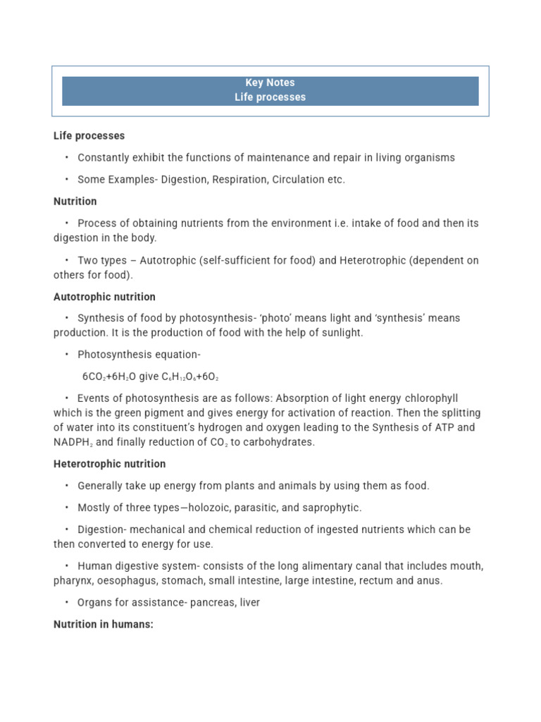 Life Process Class 10 | PDF | Digestion | Cellular Respiration