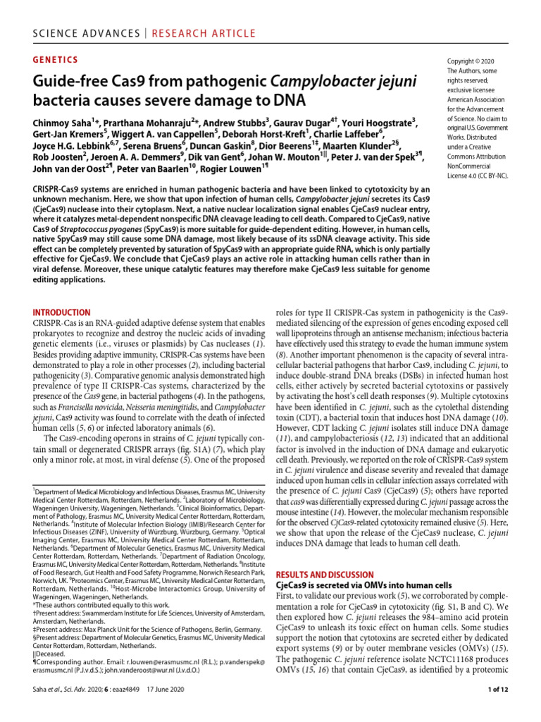 Guide Free Cas9 From Pathogenic Campylobacter Jejuni | PDF | Crispr ...