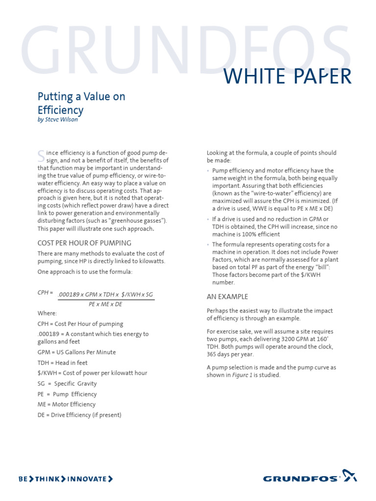 Whitepaper - Putting A Value On Efficiency | PDF | Pump