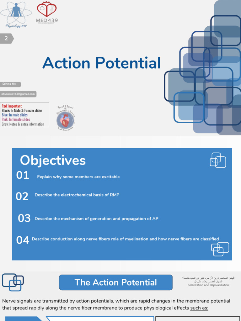 2-Action Potential | PDF | Action Potential | Depolarization