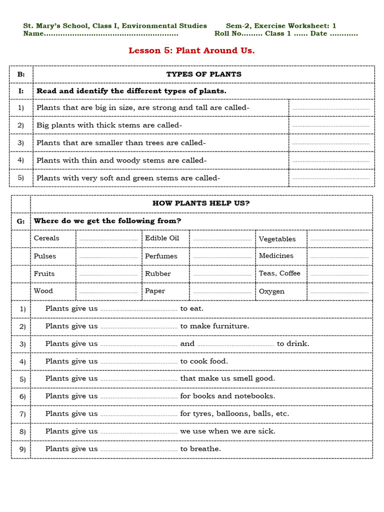 1 Env L5 Plant Windmills Part 2 Types of Plants 2022 | PDF | Plants ...