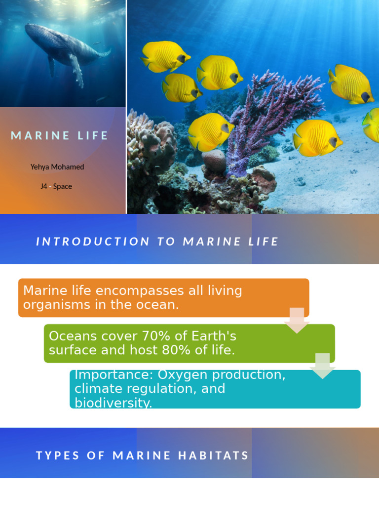 Marine Life | PDF