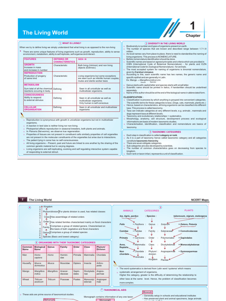 Ncert Mind Maps 1 | PDF | Spore | Fungus