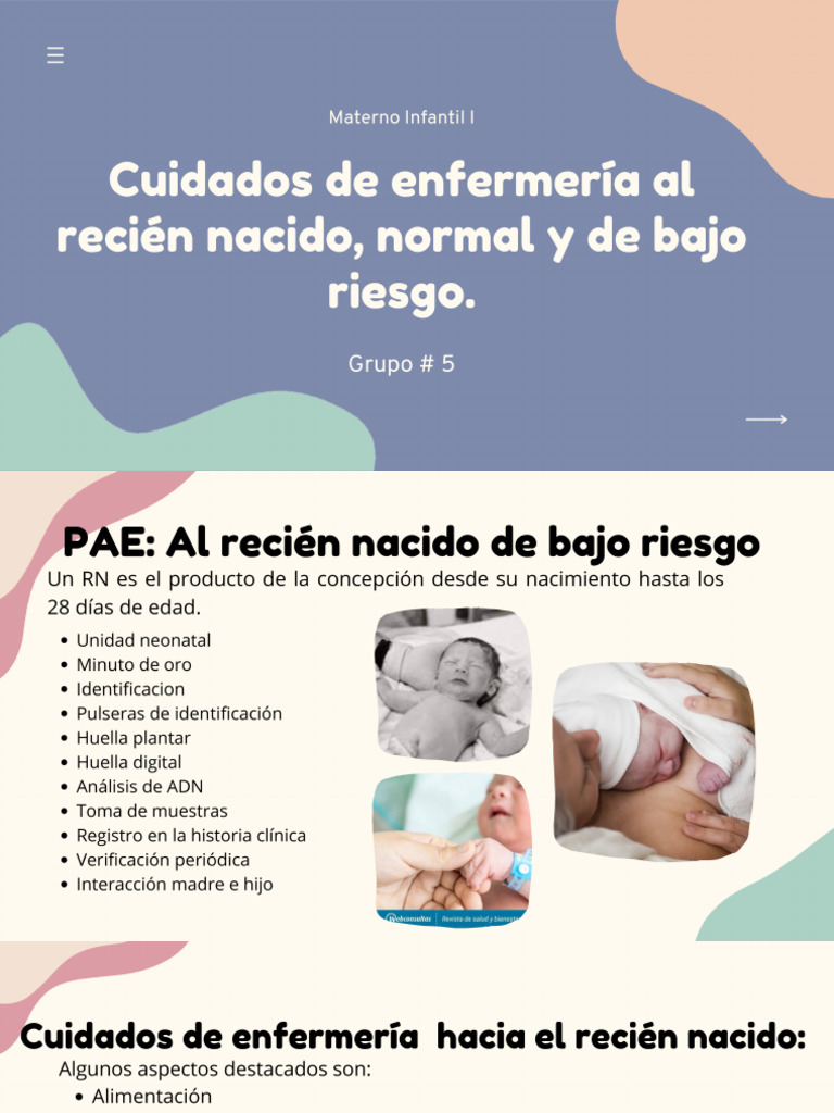Grupo 5 | PDF
