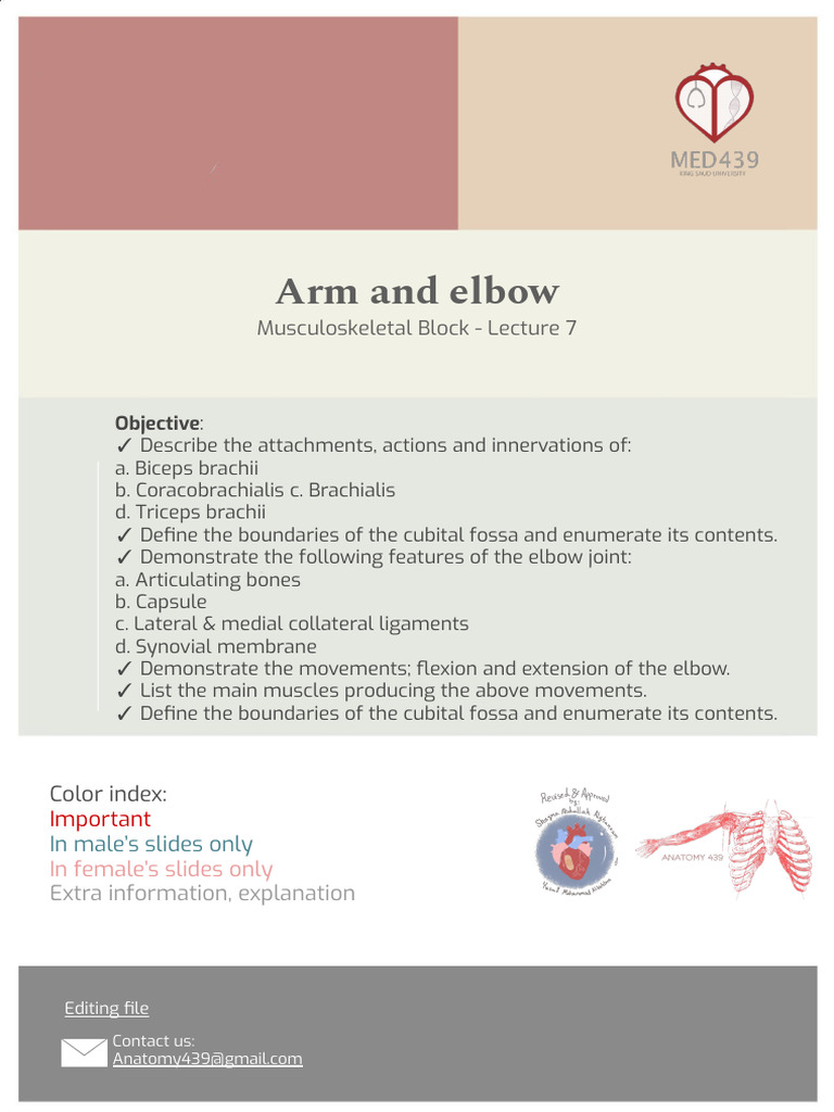 7. Arm and elbow | PDF | Elbow | Arm