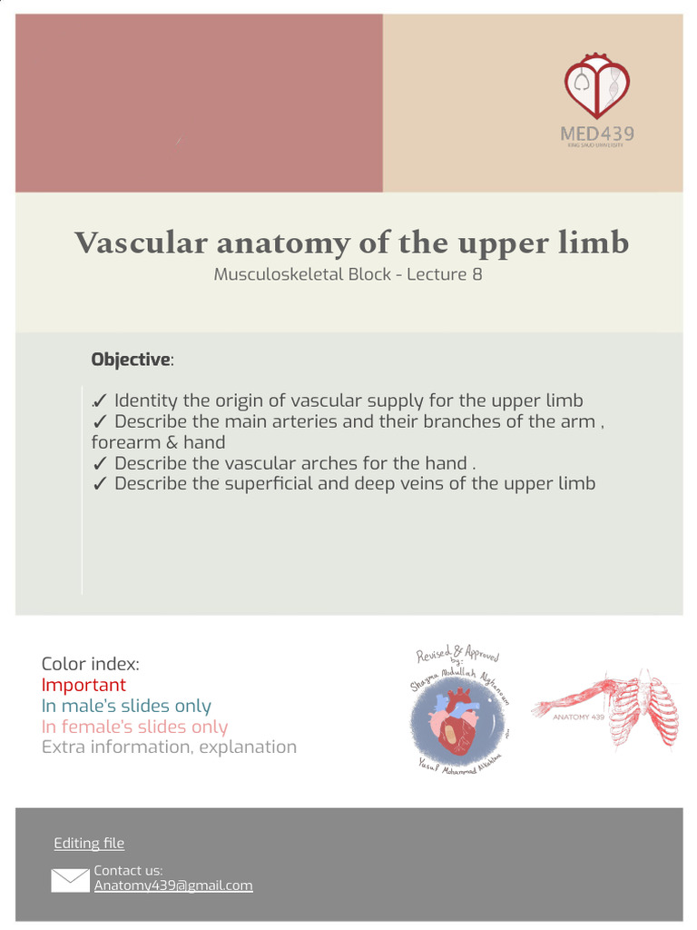 Vascular Anatomy of The Upper Limb | PDF | Arm | Hand