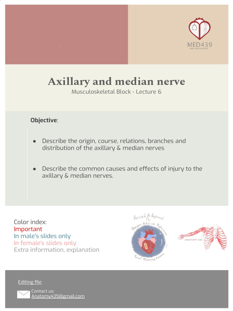 Axillary and Median Nerve | PDF | Arm | Limbs (Anatomy)