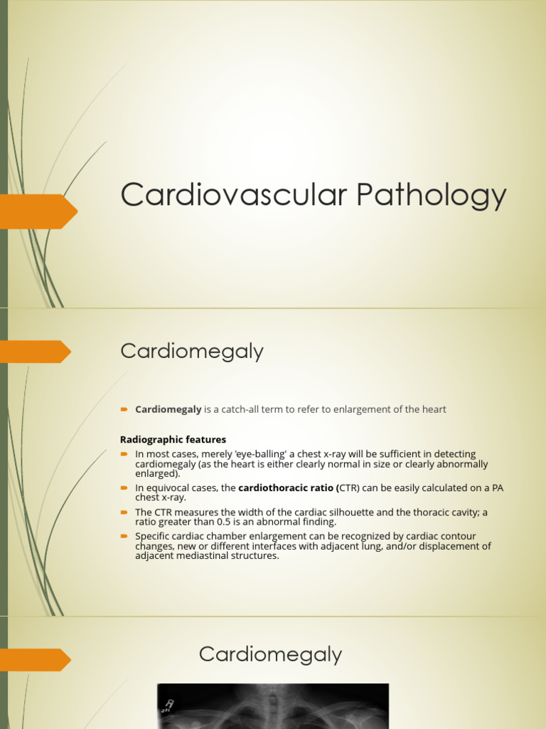 Cardiovascular Pathology 033249 | PDF | Diseases And Disorders | Heart