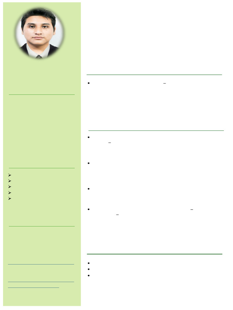 CV Mendoza | PDF | Informática