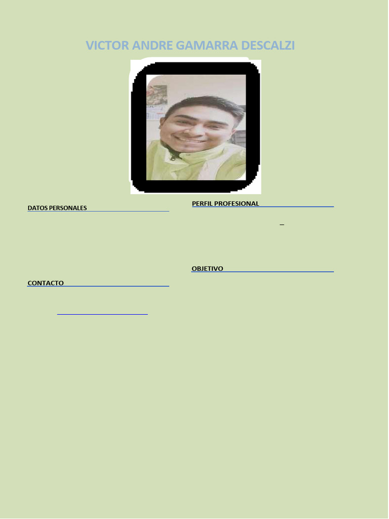 CV VICTOR GAMARRA | PDF