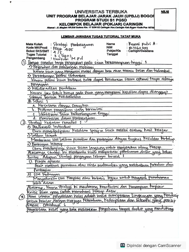 TTM 3 Revani Strategi Pembelajaran | PDF