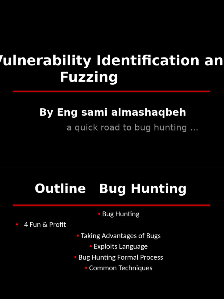 9.1 Vulnerability Identification and Fuzzing | PDF | Debugging | Computer Program