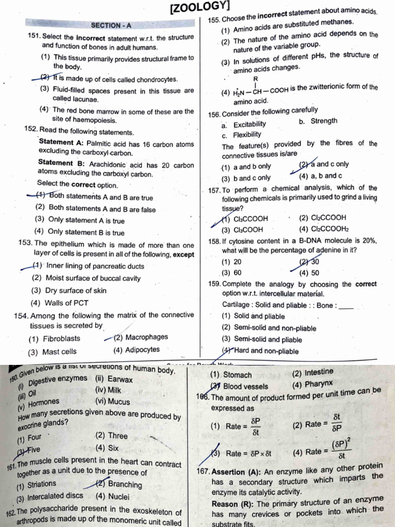 Zoology Questions | PDF | Enzyme | Anatomy
