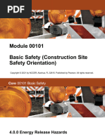 Module 00100 Build Your Future in Construction | PDF
