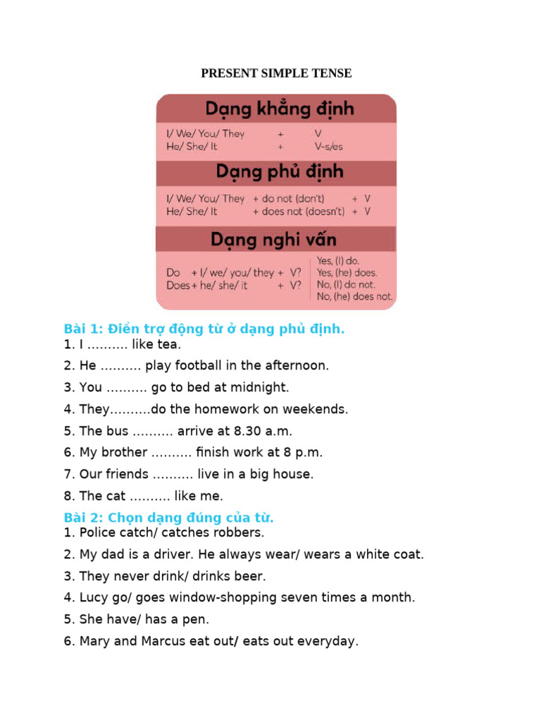 Present Simple Tense | PDF