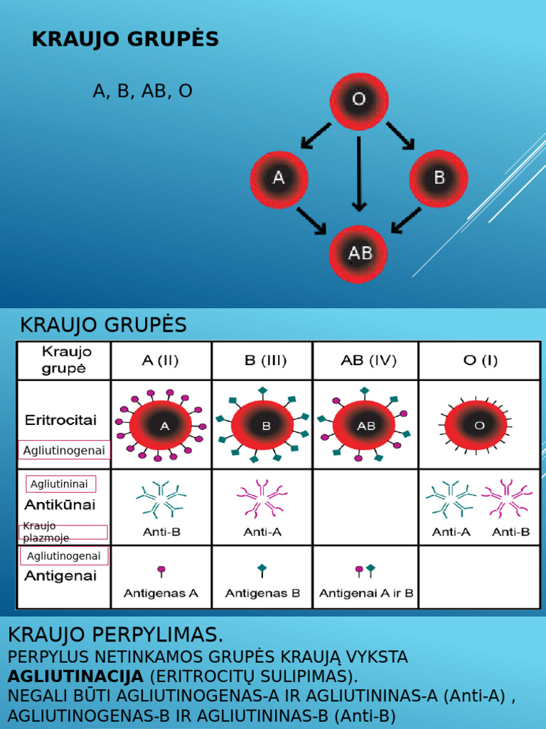 Kraujo Grupės | PDF