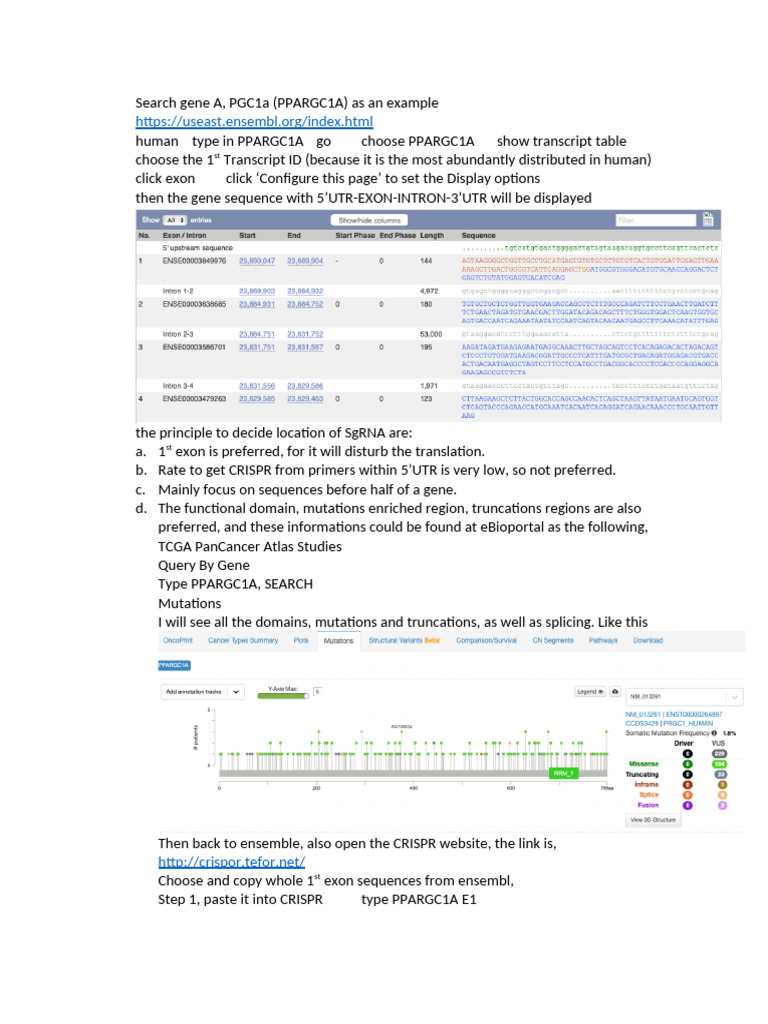 How To Design SgRNA For A Gene | PDF
