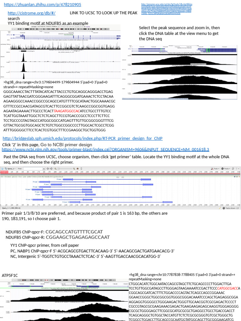 YY1 ChIP-QPCR Primer Design | PDF | Primer (Molecular Biology) | Life ...