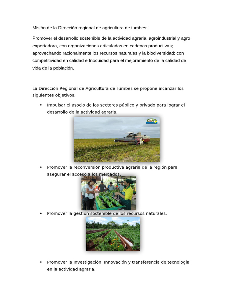 Objetivos DRAT | PDF