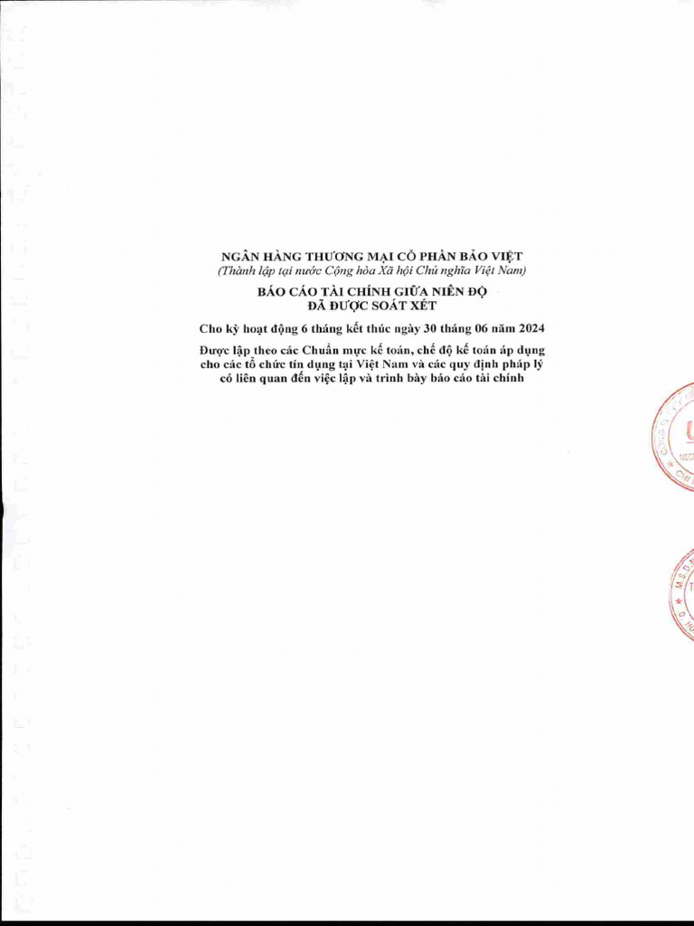 BCTC ban nien 2024 | PDF