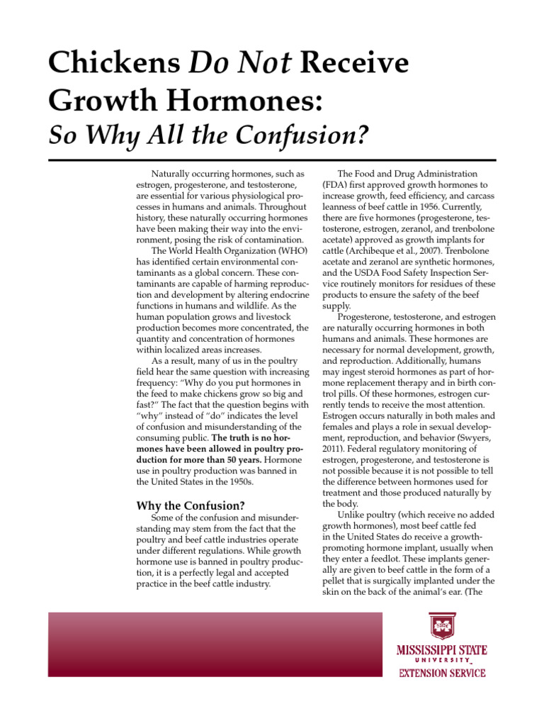 Chicken+growth Harmone+confusion Review | PDF | Estrogen | Meat