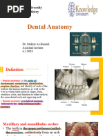 Dental Anatomy: Teeth Nomenclature & Numbering | PDF | Dental Anatomy ...