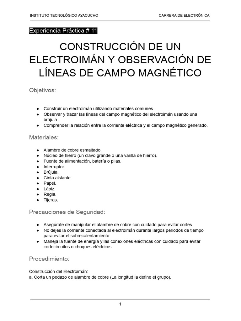 Experiencia Pr-ctica - 7 | PDF | Magnetismo | Campo magnético