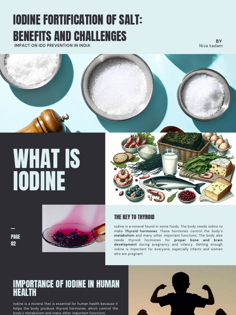 Iodine Fortification of Salt by Niva Kadam_20241204_143533_0000 | PDF ...