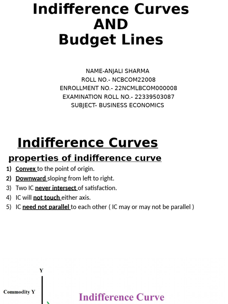 Indifference Curves and Budget Lines Explained | PDF